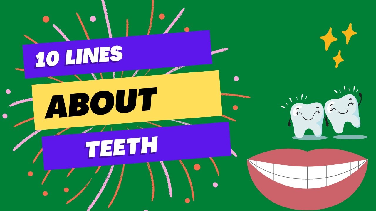 10 Lines on Teeth in English || Ayan Education - YouTube