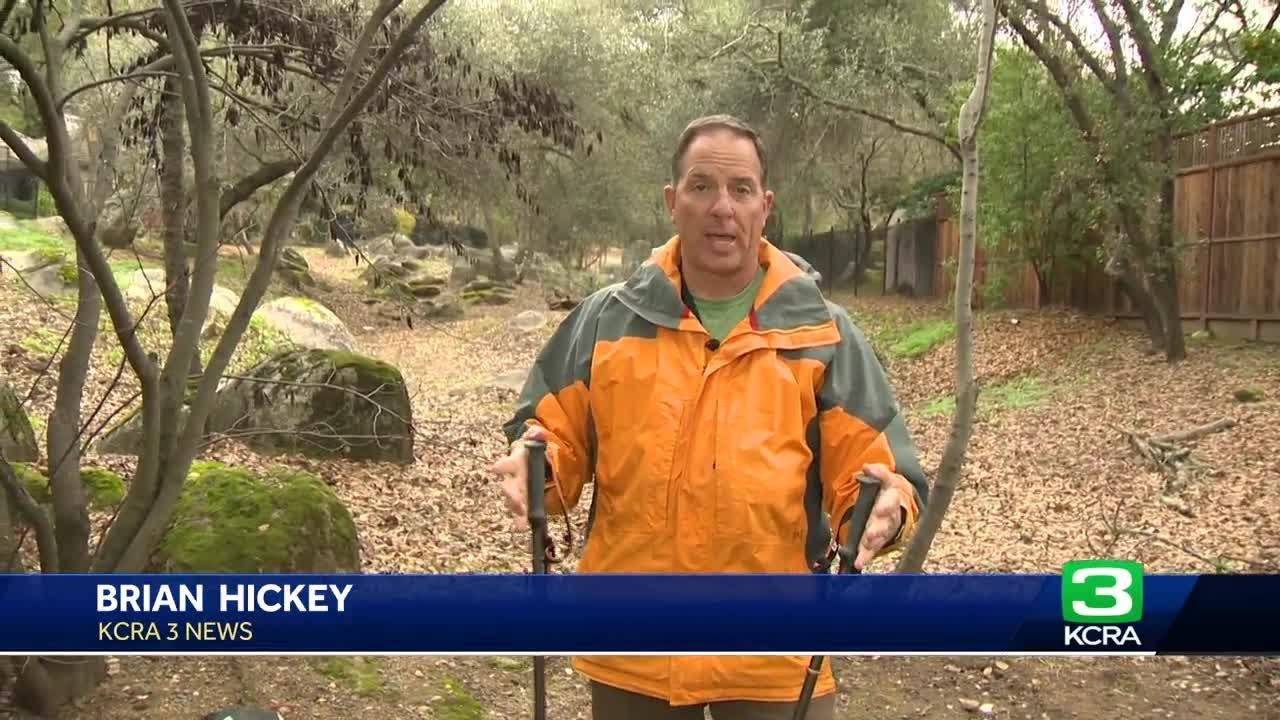 Skiing Safety Tips: How to stay safe on the mountain and the gear you ...