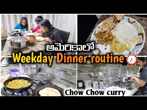 మా Weekday Dinner routine | Telugu Vlogs from USA | Simple Veg thali ...