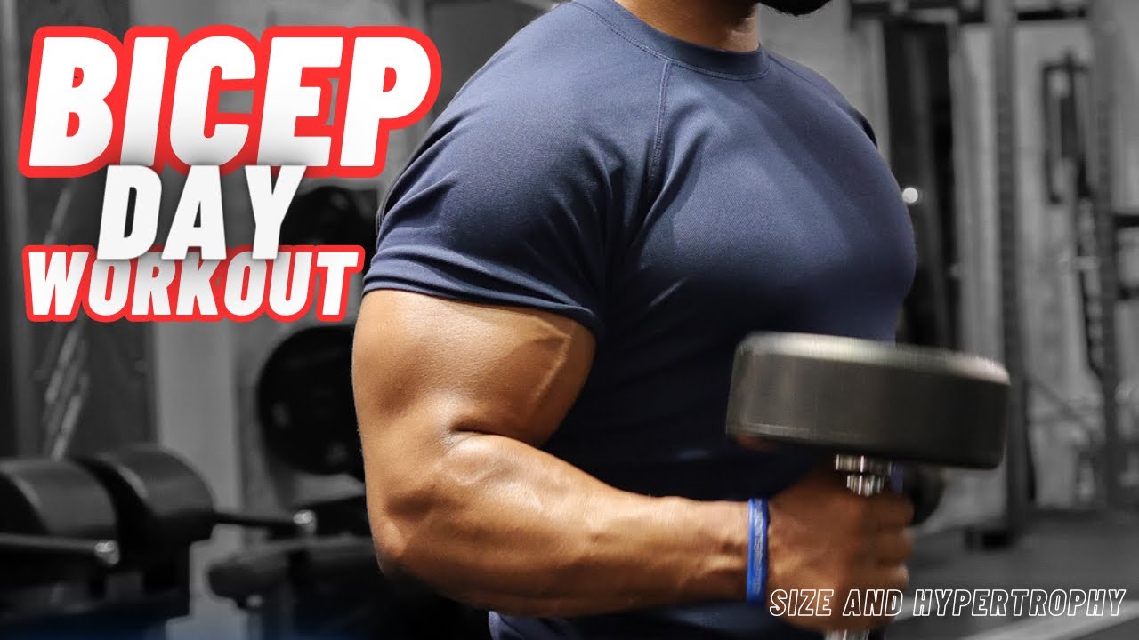 Bicep Day Size and Hypertrophy - YouTube