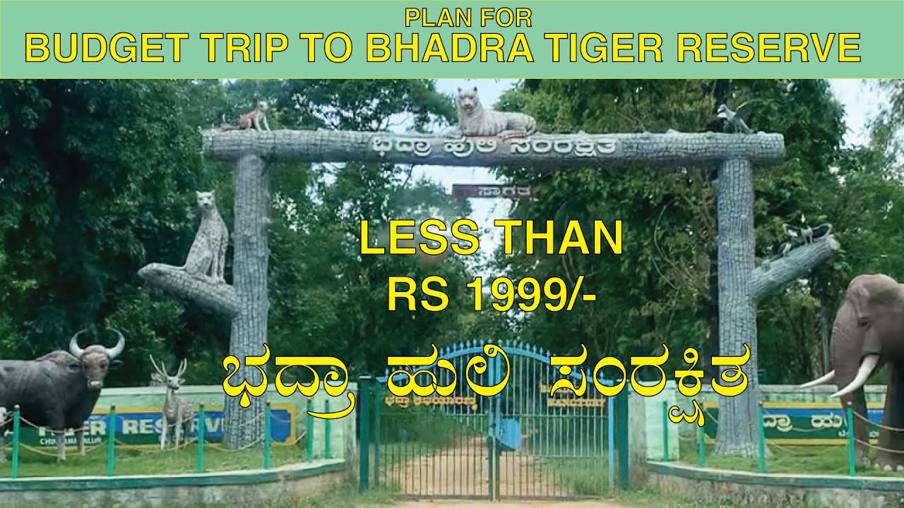 Budget trip To Bhadra Tiger Reserve / Bhadra wildlife Safari ...