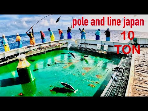 pole and line tuna fishing japan.!! ratusan ton ikan cakalang ...