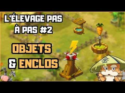L'ÉLEVAGE PAS À PAS #2 - LES ENCLOS ET OBJETS D'ÉLEVAGE [DOFUS TUTORIEL ...