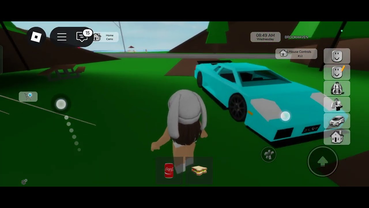 Brookhaven, Where going to Camping and find the secret of Brookhaven ...