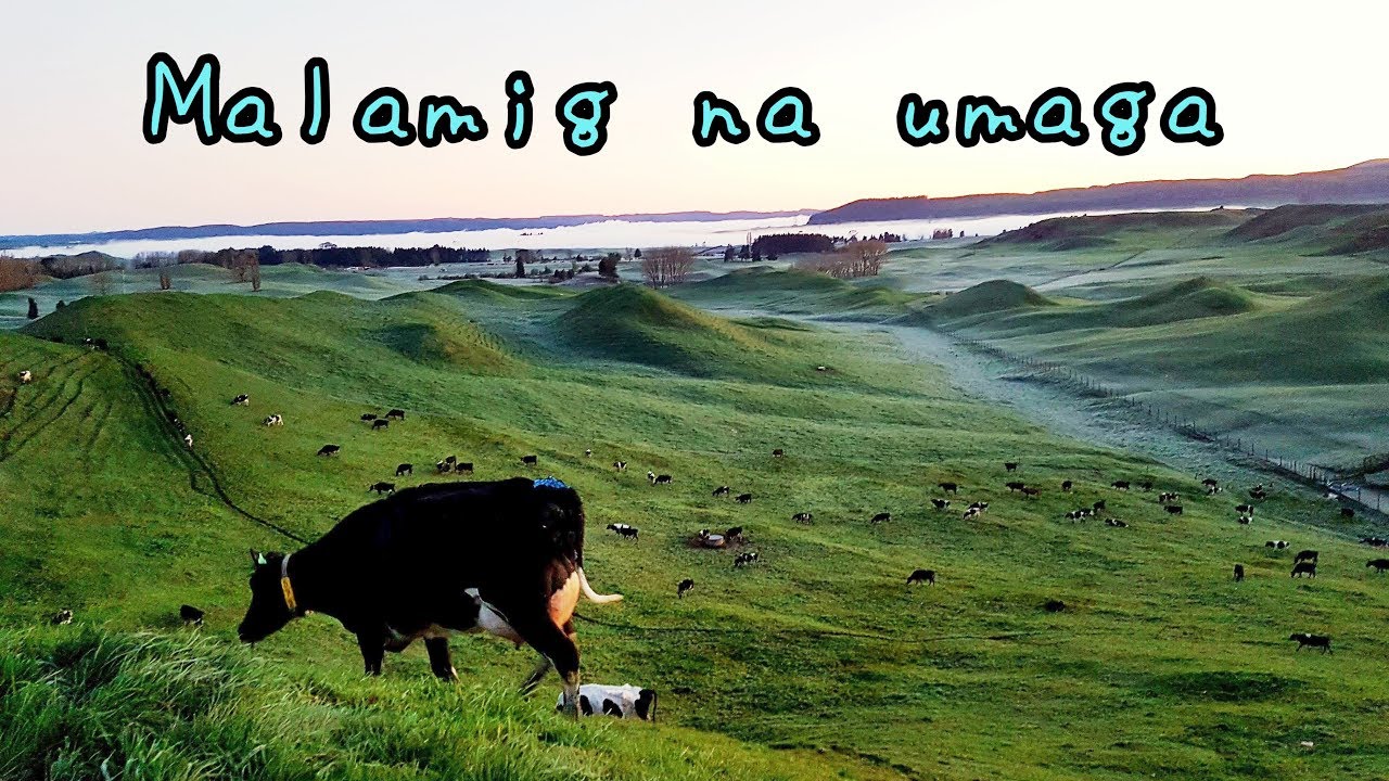 TOUR SA FARM||CRUISY DAY - YouTube