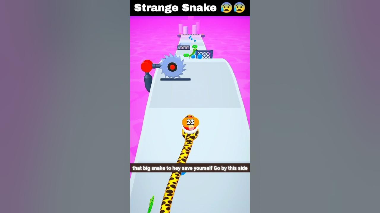 Strange Snake 😰 - YouTube