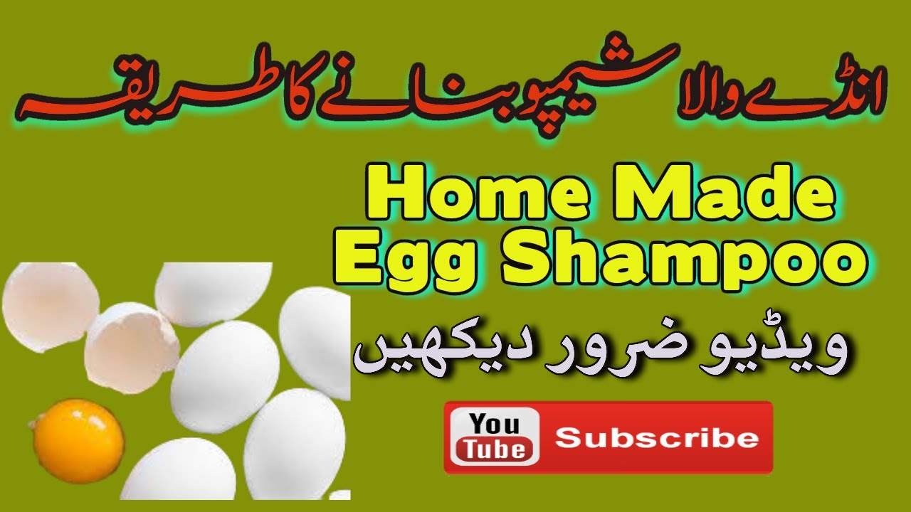 How To Make Egg Shampoo in 4 steps At Home-by Dilkashroze Beauty and ...