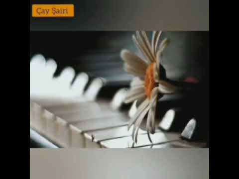 Seni sevmek - Çay Şairi