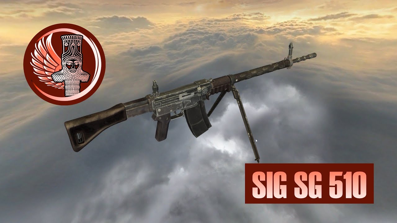 World of Guns - SIG SG 510 - YouTube