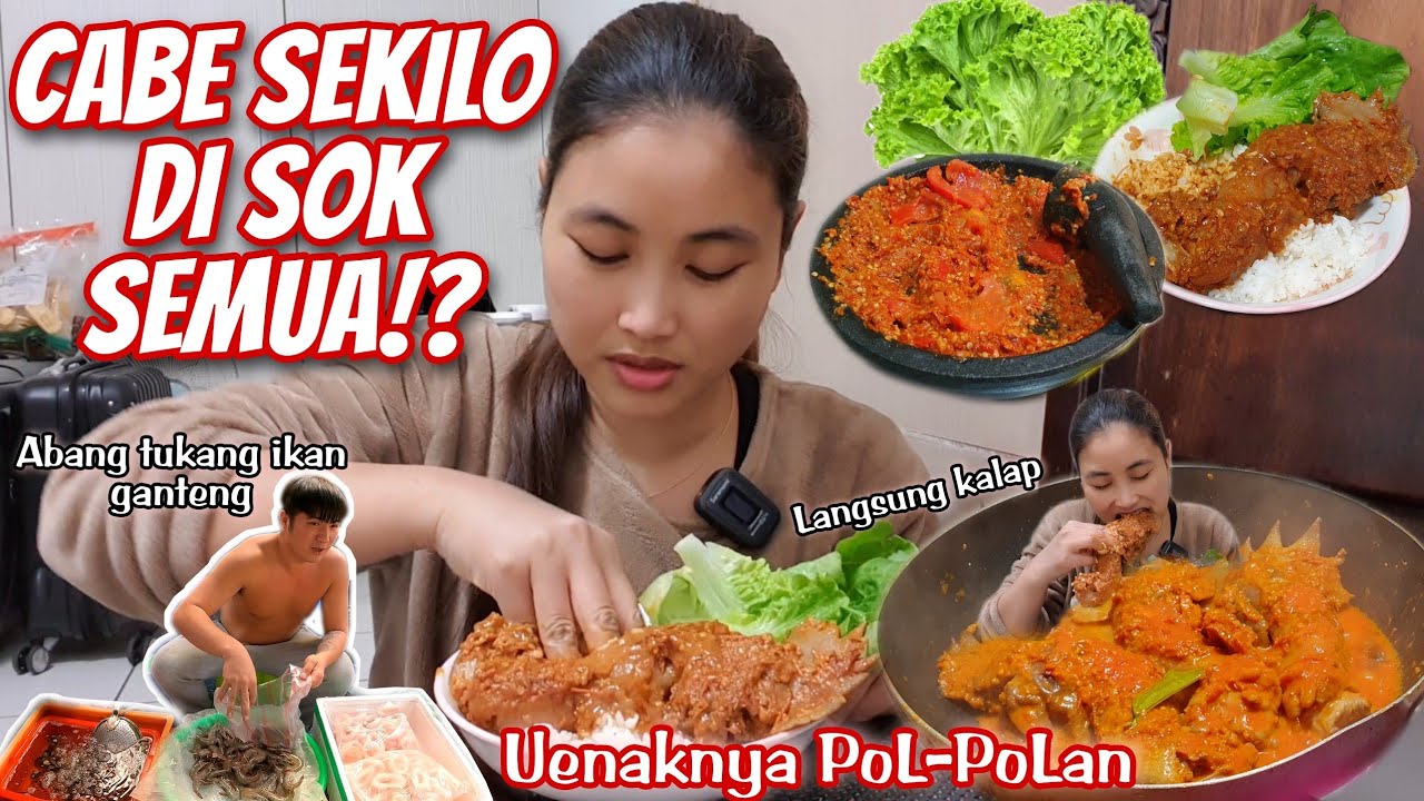 KALAP‼️ CABE SEKILO DI SOK SEMUA⁉️ SHY² CAT DILEDEKIN IBU² SEPASAR ...