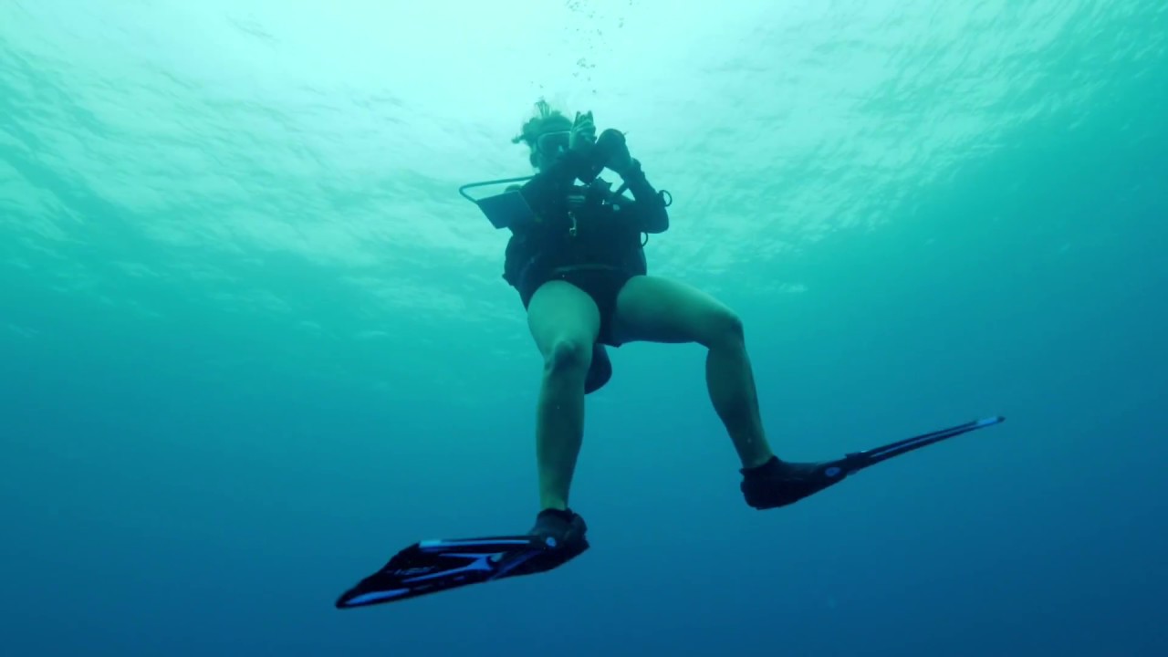 Paradise Taveuni Fiji Dive 2 into the Rainbow Reef and the White Wall ...