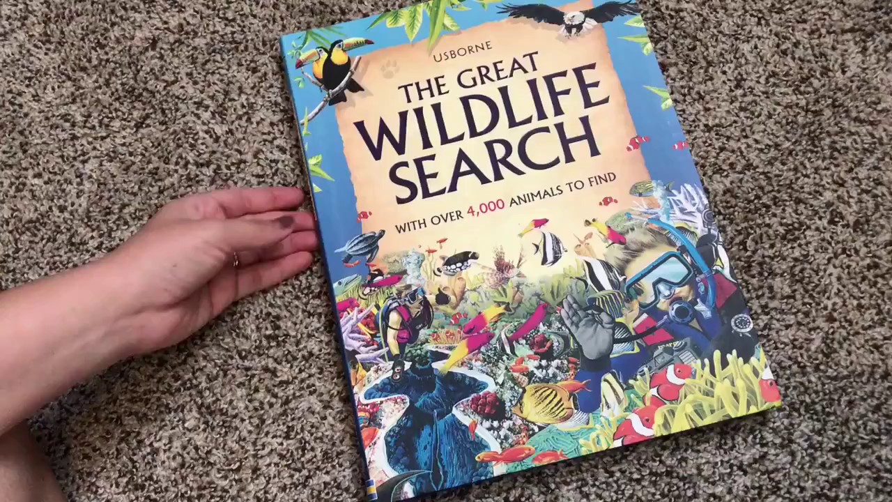 The Great Wildlife Search 🐘 Usborne Books & More - YouTube