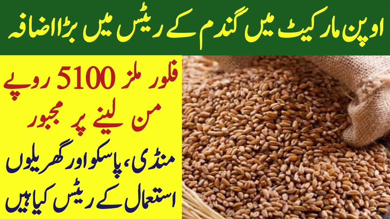 Gandum ka rate 2023 Punjab pakistan - YouTube