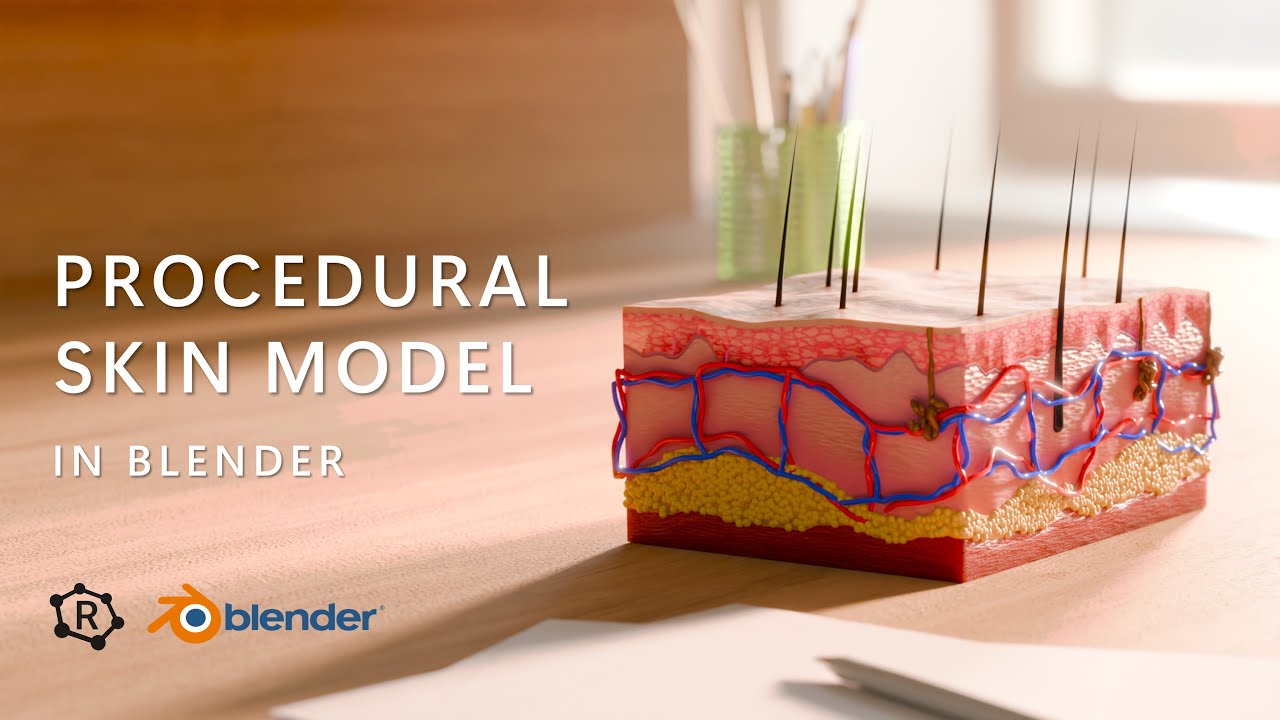 Skin anatomy illustrations in Blender - YouTube