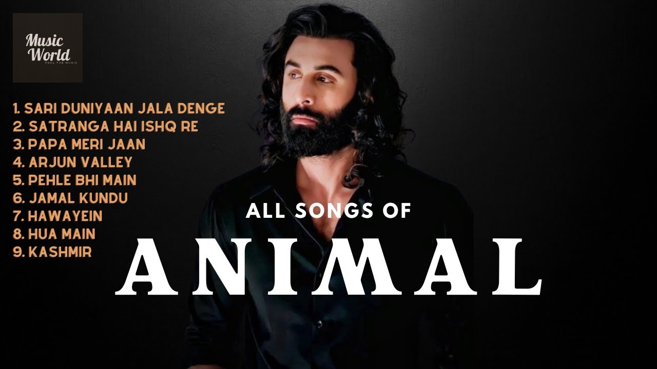 All Songs Of ANIMAL Movie | ( Slowed + Reverb ) - YouTube