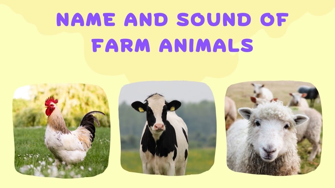 Learn The Name and Sound of Farm Animals | Farm Animals Learning for ...
