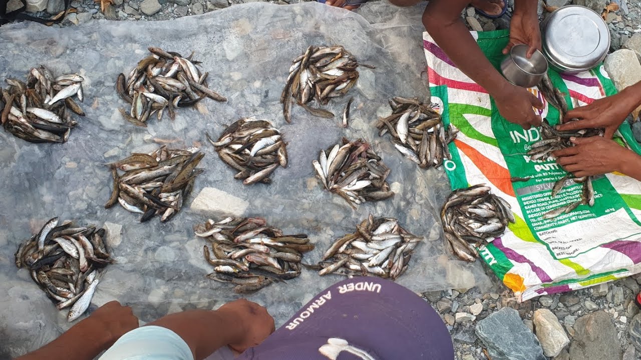 Catching Fish 🐟 near India 🇮🇳 and Bhutan 🇧🇹 Border River 🌊 - YouTube