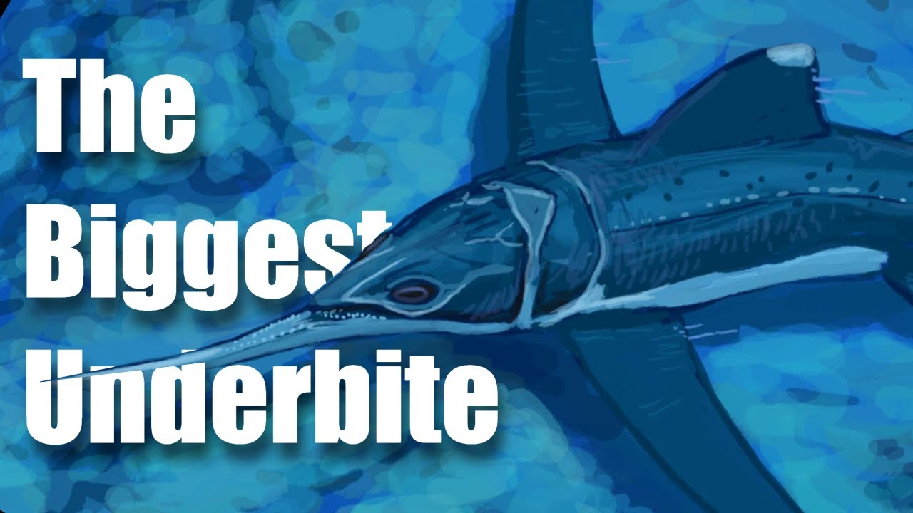 Alienacanthus - The Fish with the Ultimate Underbites - YouTube