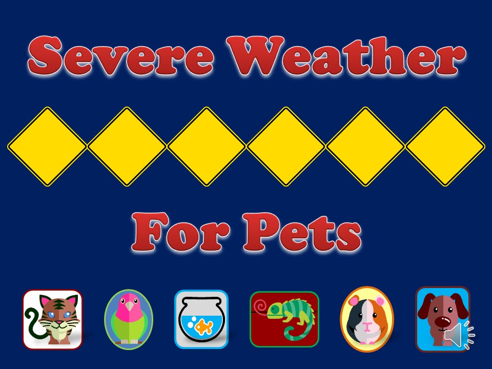 Pet Severe Weather Safety - YouTube