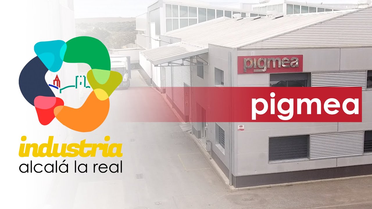 PIGMEA - YouTube