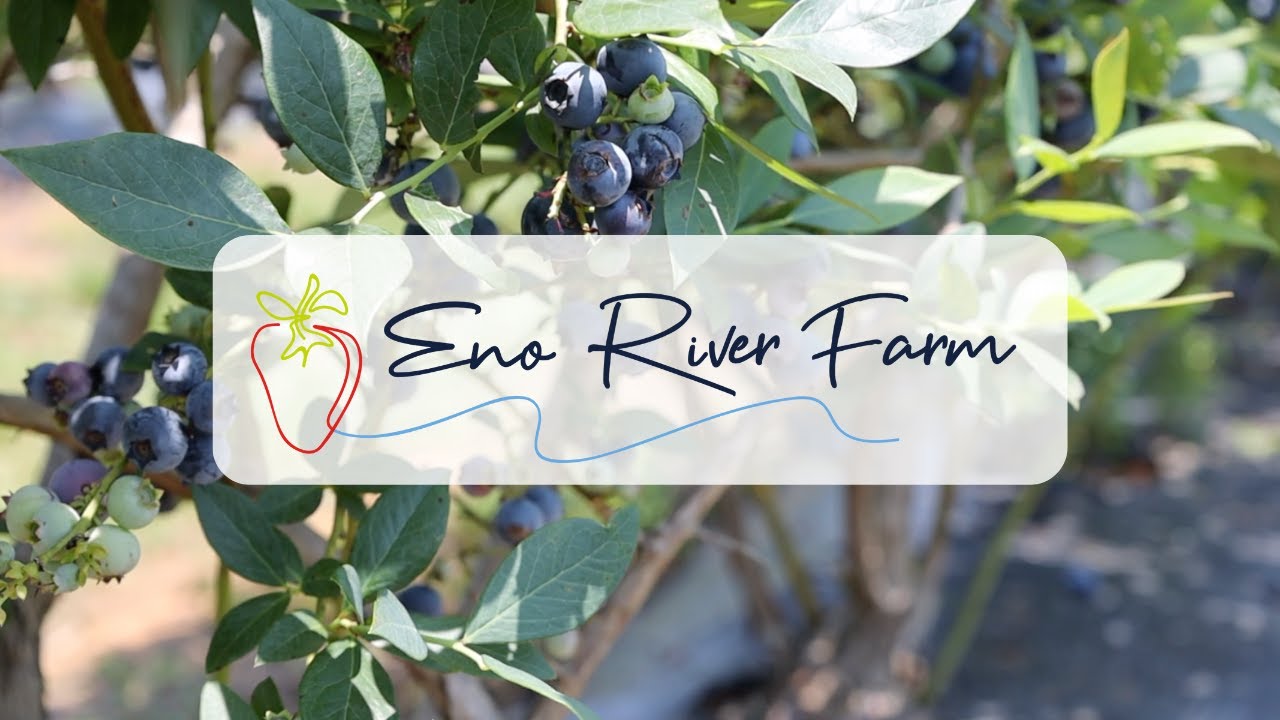 Eno River Farm | Our Story - YouTube