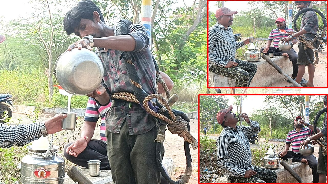 Toddy Palm Wine Healthy Drink Thaati Kallu , Palm Wine , Neera Wine ...