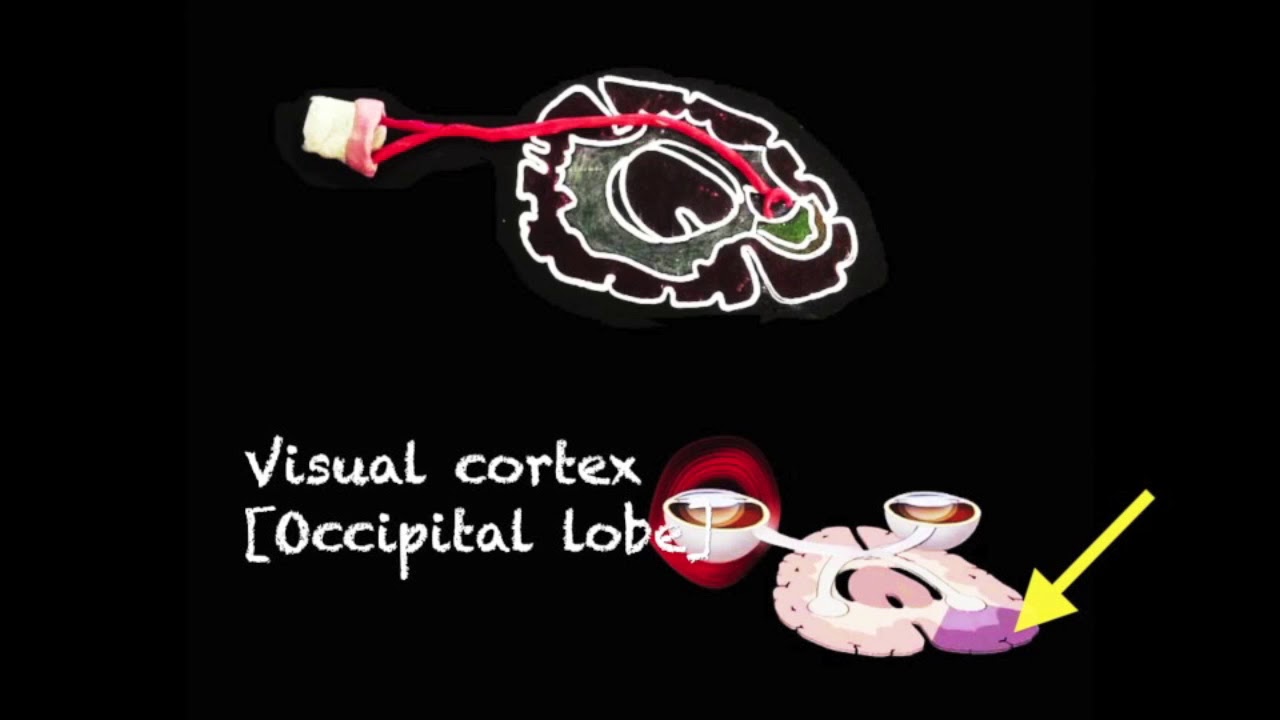 menace response - YouTube