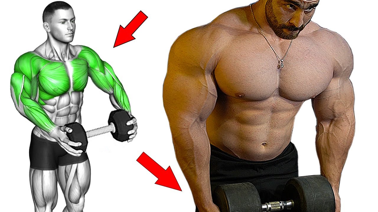 If you want to build a perfect body in the fastest time do this 👌 - YouTube