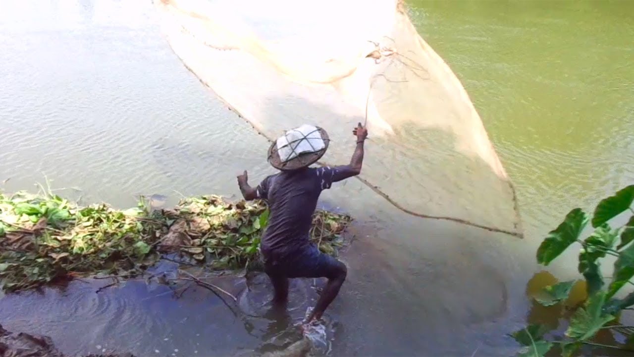 Cast Net Fishing in a Small River - Catching Small Fishes - YouTube
