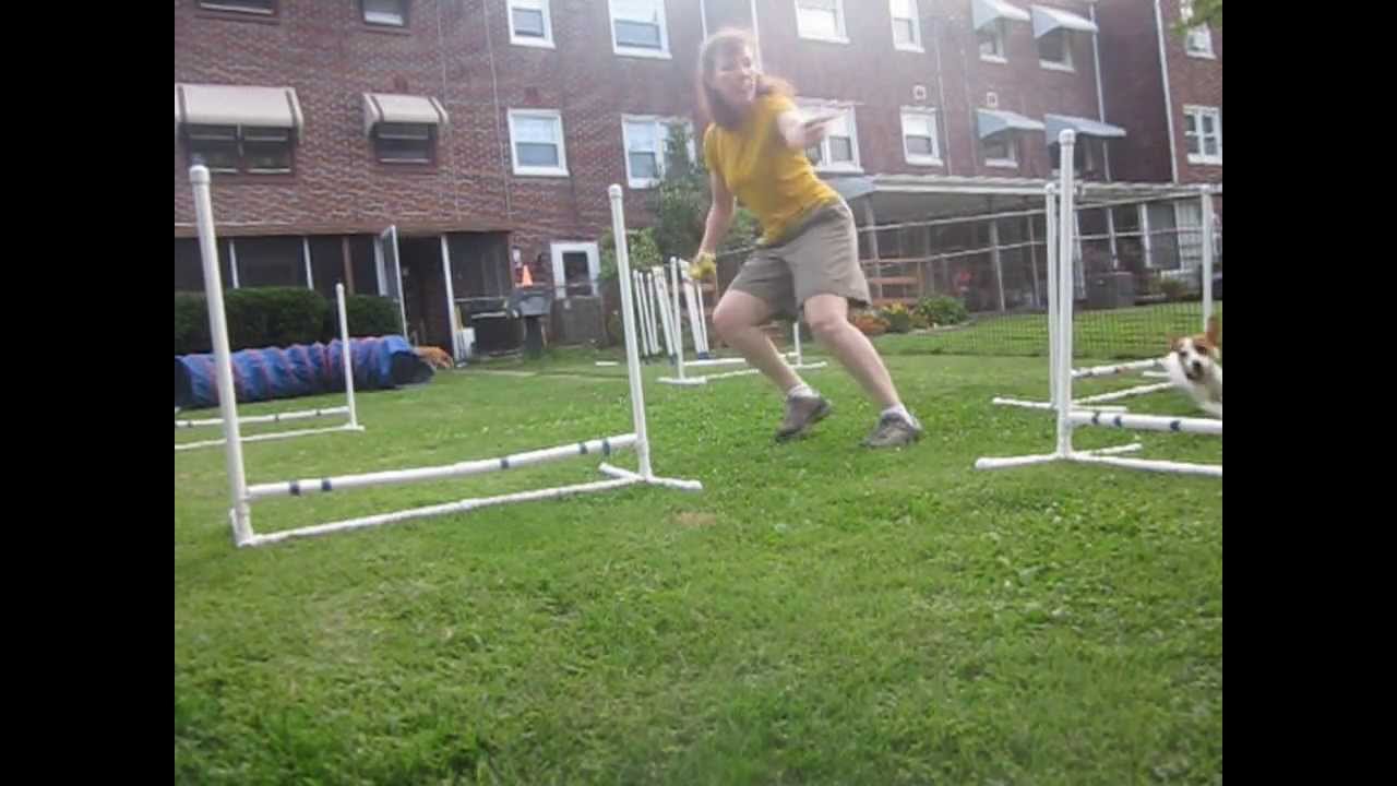 Sprout - pinwheel exercise - session 2 - YouTube