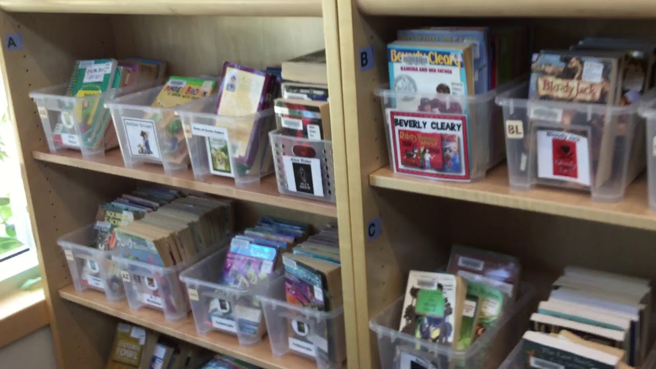 Chapter Book Bins 2018 - YouTube