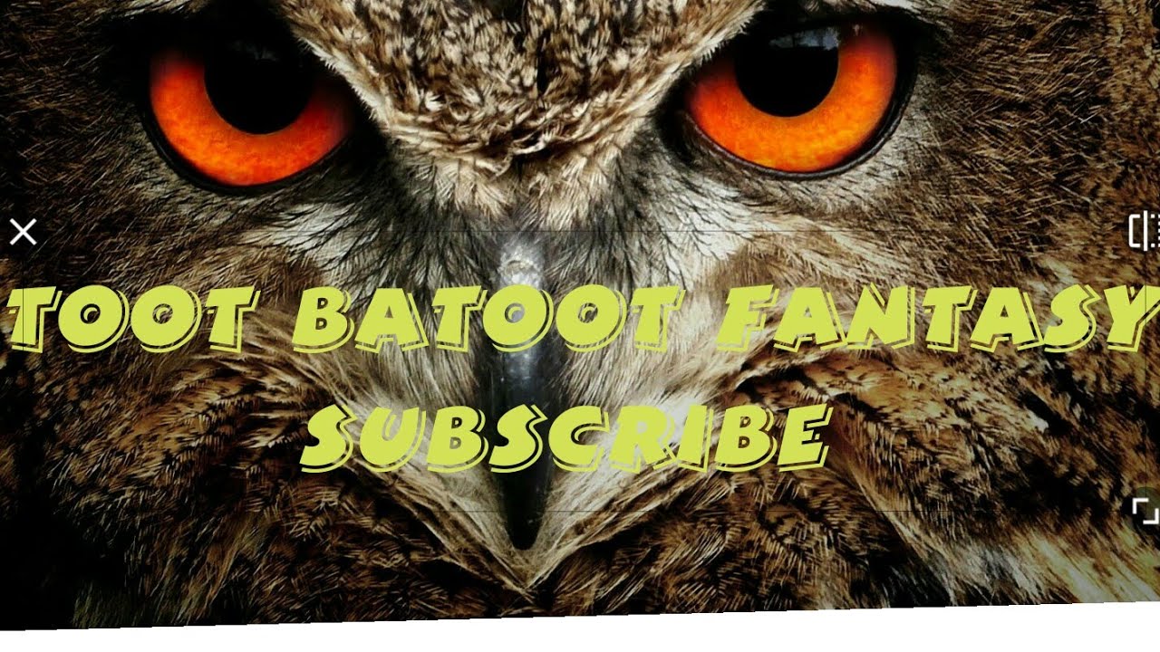 #TOOT BATOOT FANTASY SHARES. .... 🌍 SUBSCRIBE - YouTube