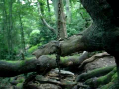 The Chained Oak, Alton - YouTube