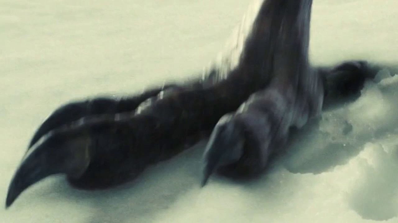 Crow Feet 2 - YouTube