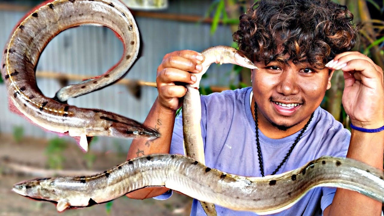 बाम माछा🐟 Big Eel Fish First Time Eating 🌍 International Chef Cooking 🤤 ...