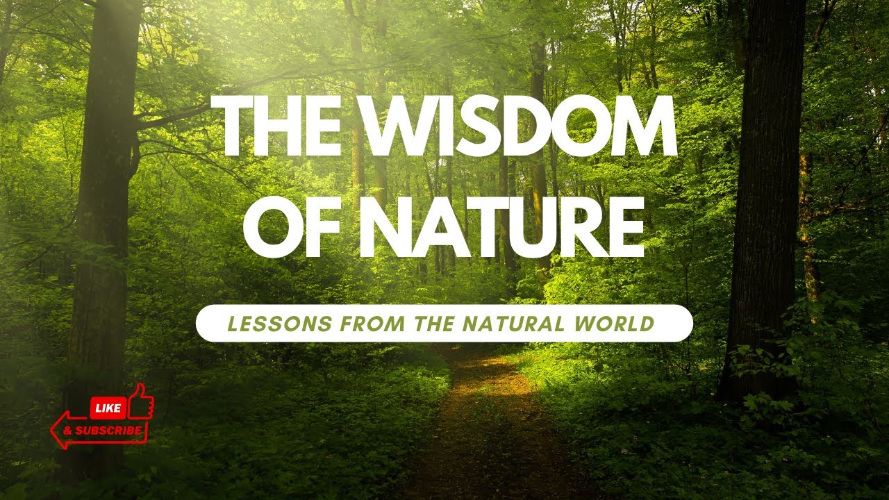 What The Natural World Can Teach Us About Life | Infinite Wisdom Hub ...