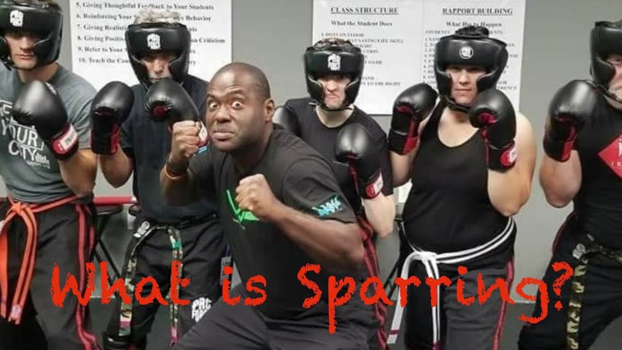 What Is Sparring? #martialarts #sparring #knowledge - YouTube