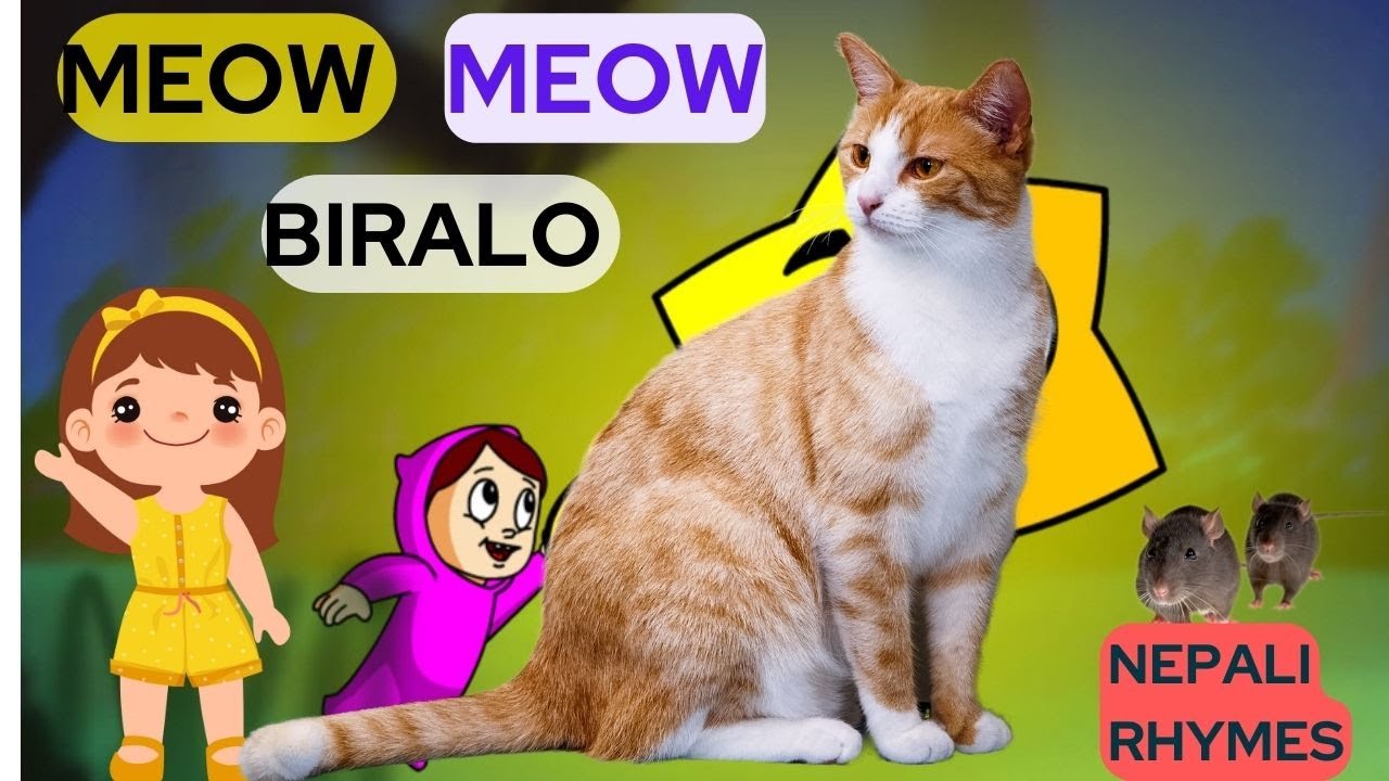 Meow Meow Biralo |Nursery Nepali Kids Rhymes|nepali balgeet - YouTube