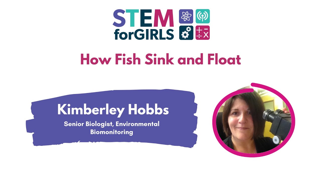 STEM Activity: How Fish Sink and Float 🐠 - YouTube
