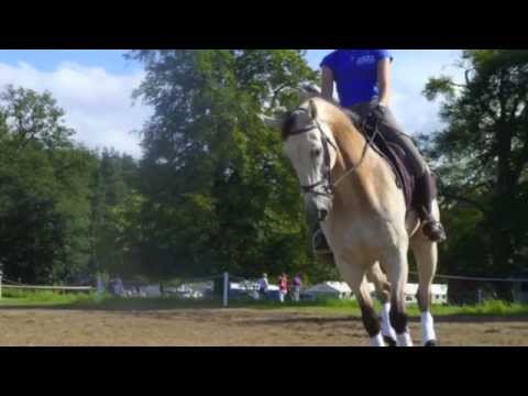 Pony Club Championships 2012 - Eventing - YouTube