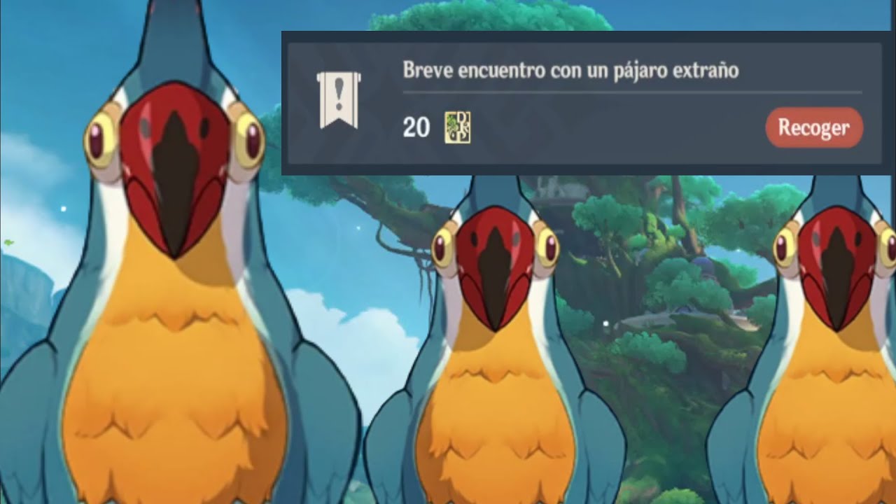 Breve encuentro con un pájaro extraño _ Genshin Impact - YouTube