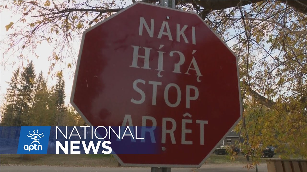 Indigenous language reclamation journey: Dinjii Zhuh Ginjik | APTN News ...