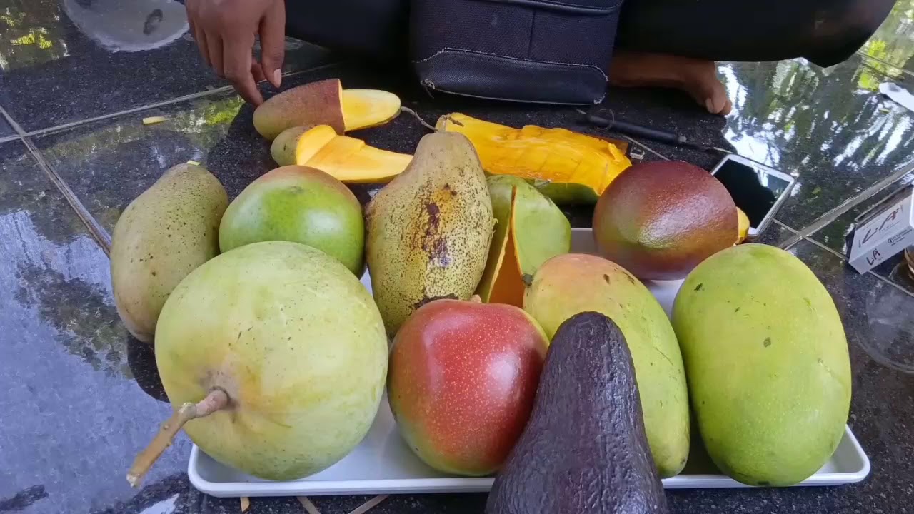 Test Rasa Mangga Yuwen Red ivory Kiojay agrimania R2e2 - YouTube