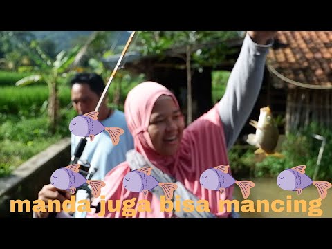 KESERUAN MANDA ||MANCING HEBOH