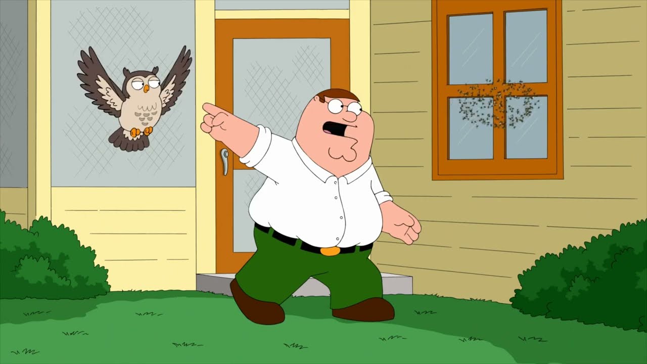 Family Guy - Peter, Owl and Hornets - YouTube