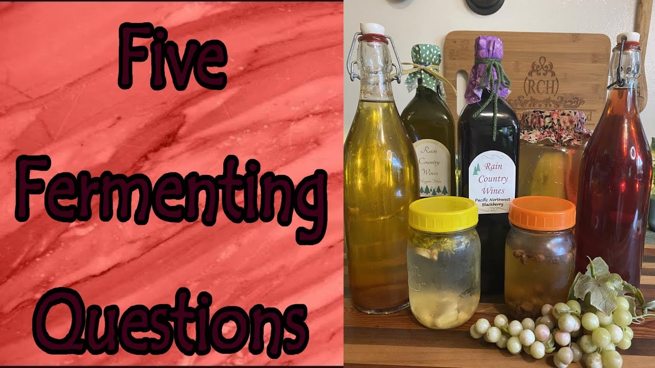 5 Fermenting Questions - YouTube