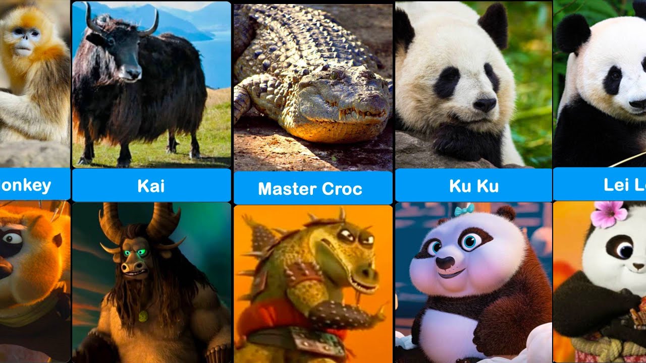 Kung Fu Panda Real Face