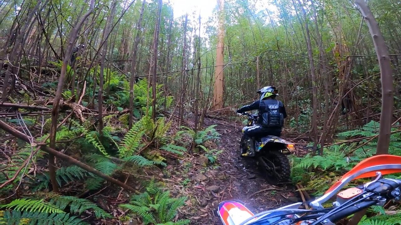 HARD ENDURO SINGLE TRACK ON THIS AMAZING MOUNTAIN - YouTube