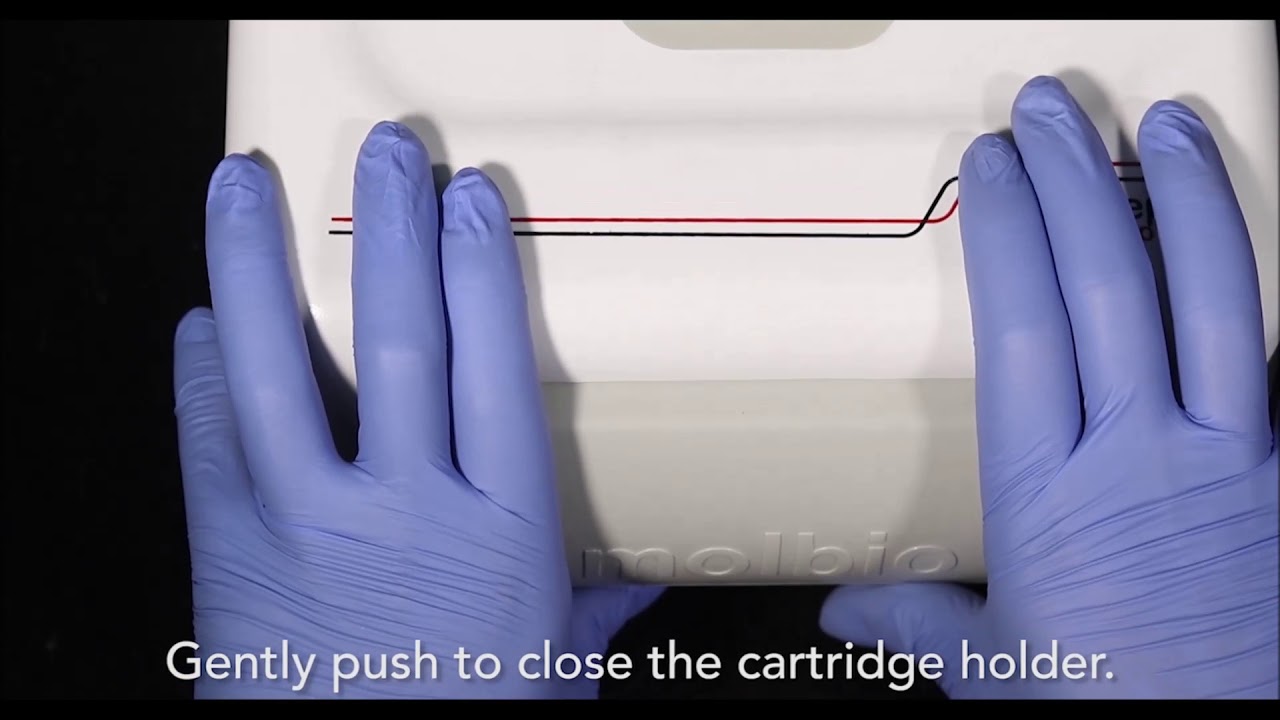 Molbio video - YouTube