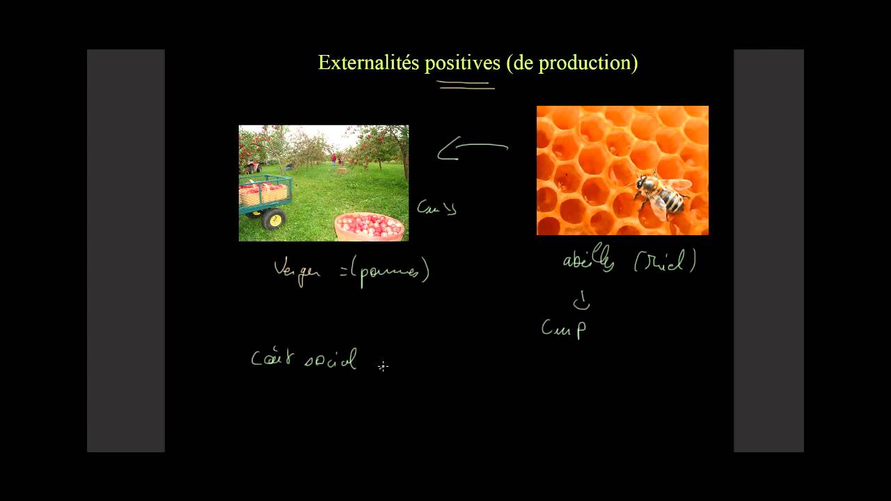 Microéconomie - Externalités positives (de production) - YouTube